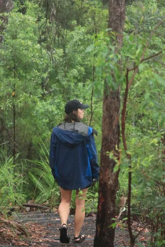 Minyon Waterfall Rainforest Tour - Key Points