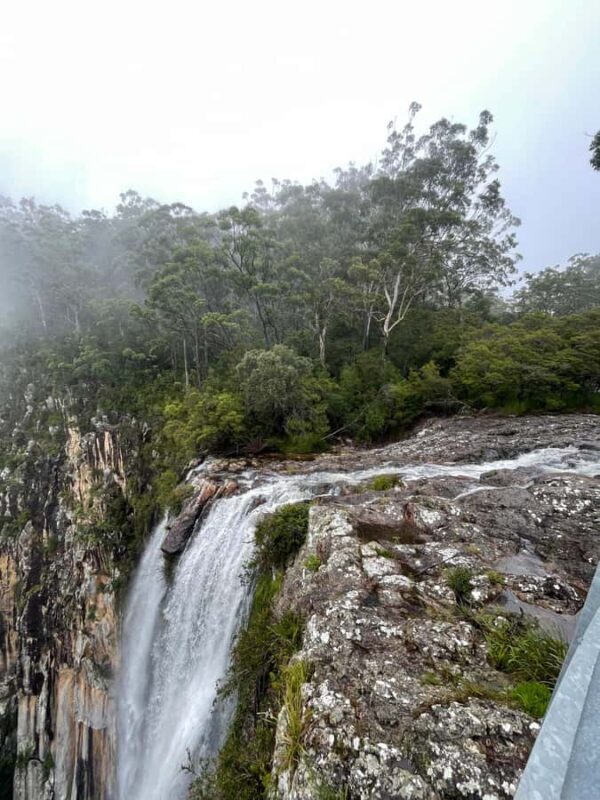 Minyon Waterfall Rainforest Tour - What to Expect from the Tour Itself