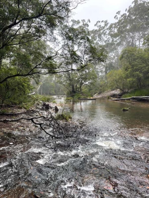 Minyon Waterfall Rainforest Tour - Additional Details and Practical Tips