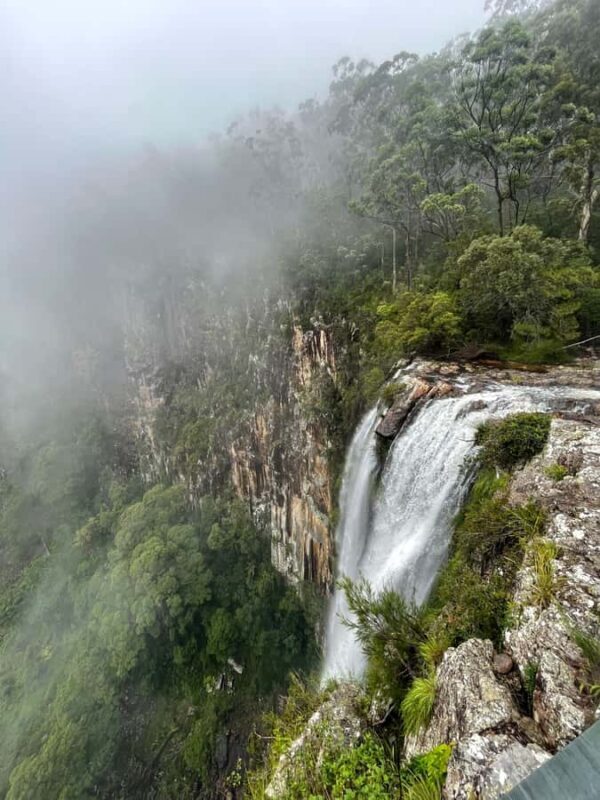 Minyon Waterfall Rainforest Tour - Who Will Love This Tour?