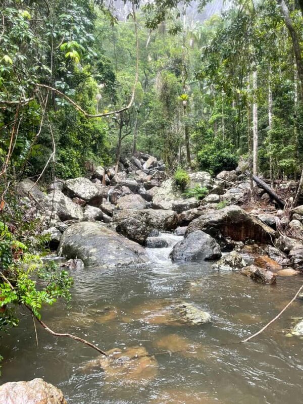 Minyon Waterfall Rainforest Tour - Final Thoughts