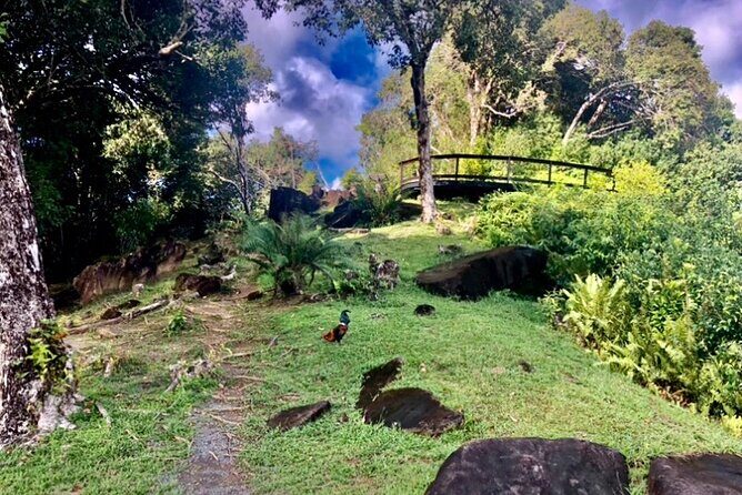 Mirimiri Tours - Who is this tour for?