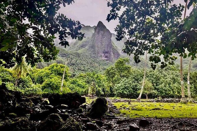 Mirimiri Tours - Transportation & Group Size