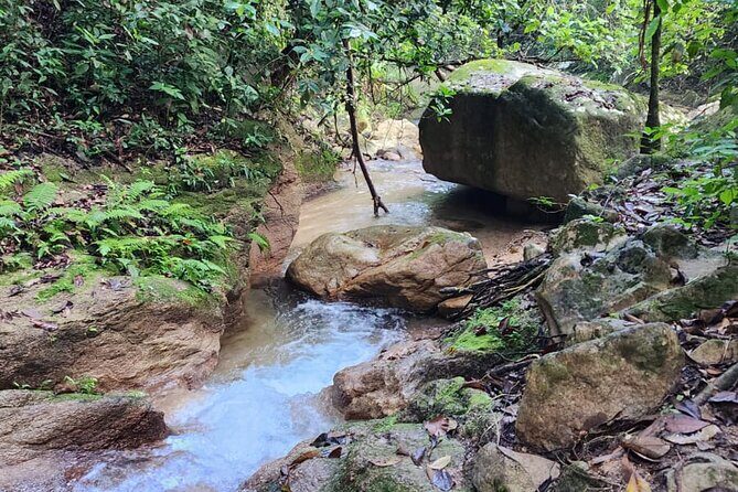 Mismaloya Waterfalls Private Tour in Puerto Vallarta - Who Should Book This Tour?