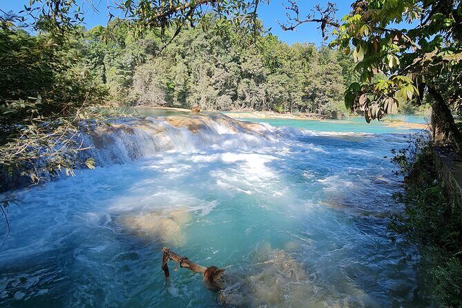 Misol Ha Blue Waterfalls and Palenque Archaeological Area - The Value of This Tour