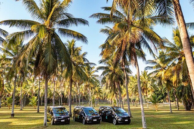 Mission Beach to Cairns ONE WAY Private Transfer 6 pax - Practical Details You Need to Know