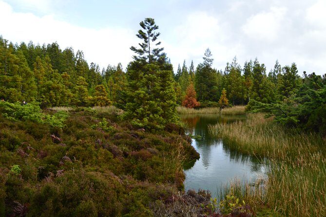 Mistérios Negros Hiking Trail - Terceira Azores - Who Should Consider This Tour?