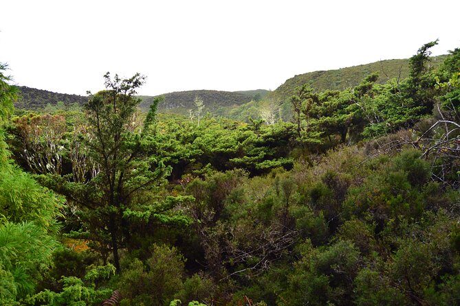 Mistérios Negros Hiking Trail - Terceira Azores - The Sum Up