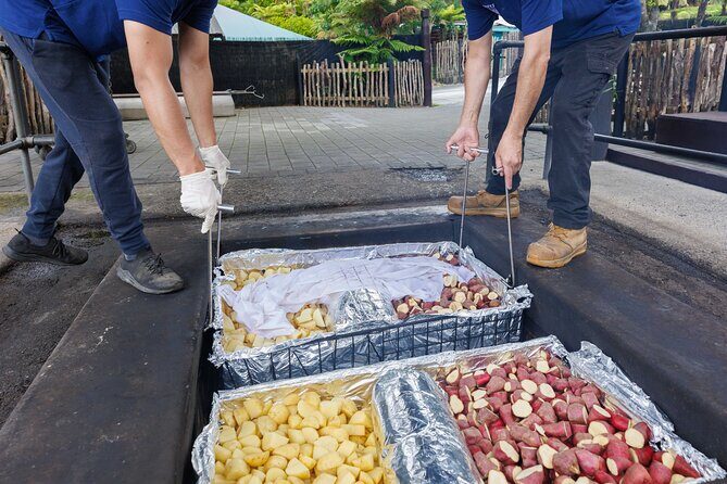 Mitai Maori Village Night and Polynesian Spa Day Tour Auckland - Final Thoughts