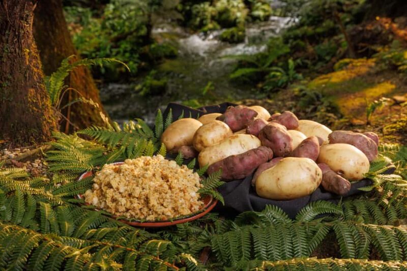 MITAI MAORI VILLAGE Night XP & Polynesian Spa from Auckland - Who Will Love This Tour?