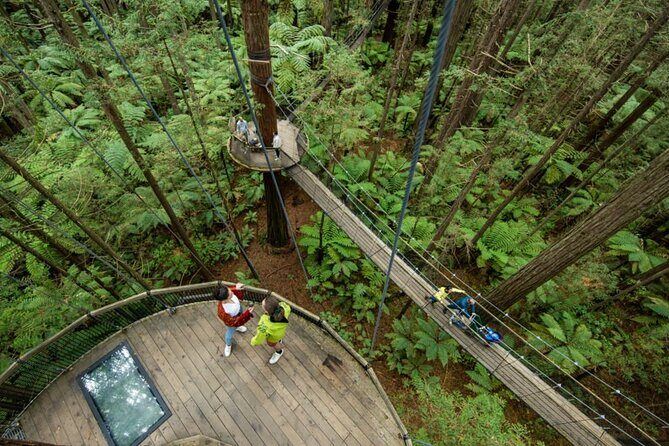 Mitai Maori Village,Waiotapu Thermal Wonderland& Redwood Treewalk - Strolling Among Giants at Redwood Treewalk