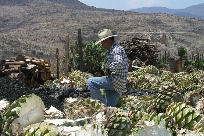Mitla, Tule, Hierve el agua and Teotilán - Mezcal Tasting: The Perfect End