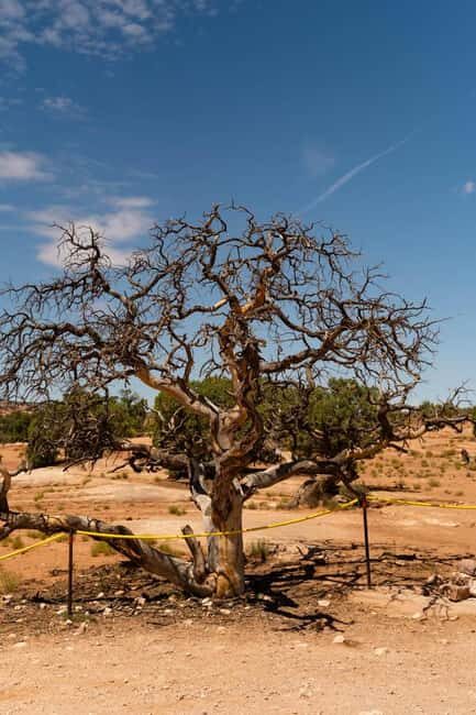Moab Half Day Jeep Tour - What Past Travelers Say