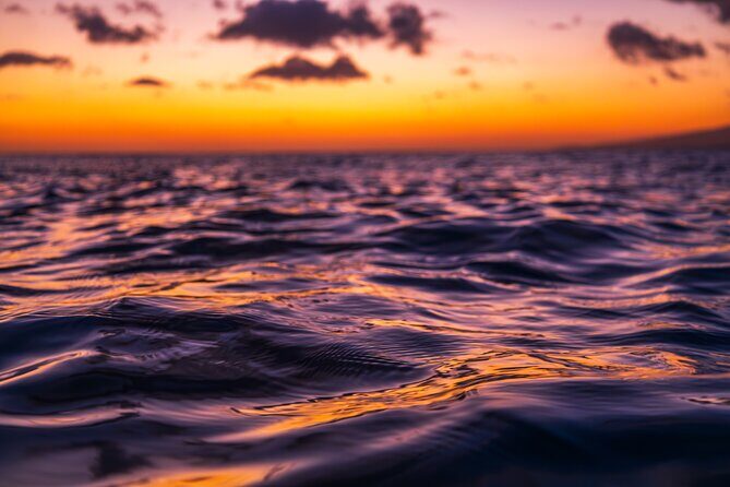 Moanas Luxury semi-private Sunset Cruise on Nalu - Key Points