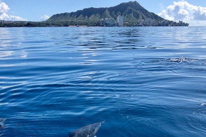 Moanas Waikk Whale Watching Exploration - Who Is This Tour Best For?