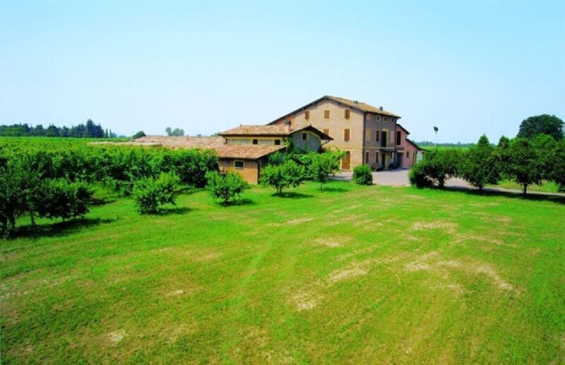 Modena: Balsamic Vinegar Tasting Experience - What You’ll Experience: From Grape to Gold