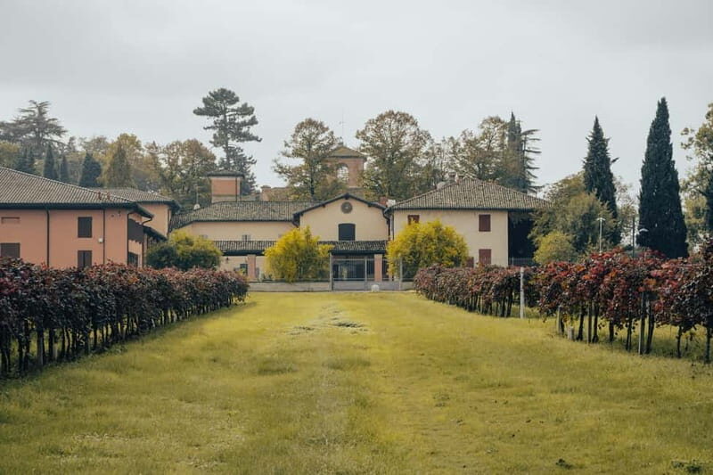 Modena: Cellar Tour & Lambrusco Tasting in Castelvetro - Key Points