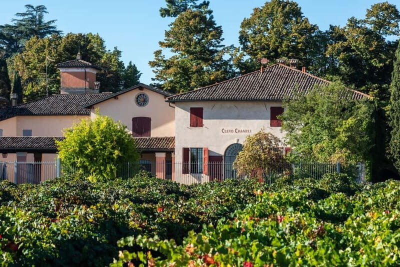 Modena: Cellar Tour & Lambrusco Tasting in Castelvetro - Why This Tour Offers Great Value