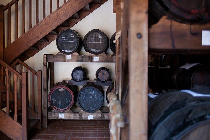 Modena Food:Prosciutto,Parmigiano,Balsamic,Wine,Lunch,Transport - An In-Depth Look at the Itinerary