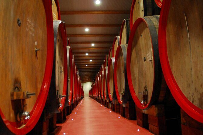 Modena Food:Prosciutto,Parmigiano,Balsamic,Wine,Lunch,Transport - Authenticity and Value