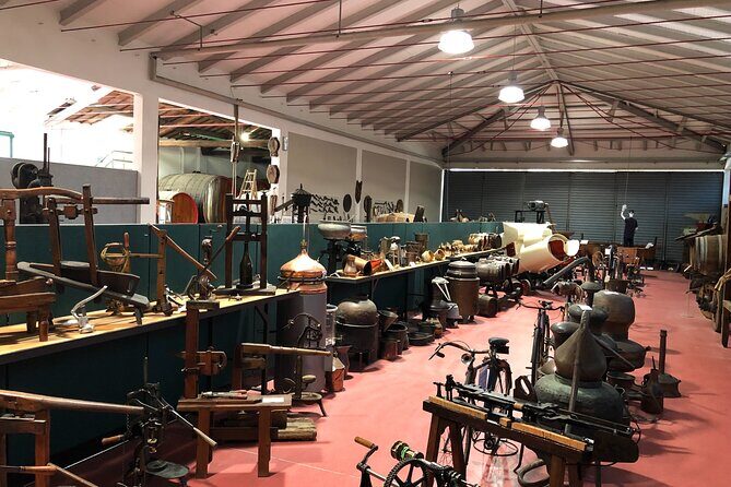 Modena Food:Prosciutto,Parmigiano,Balsamic,Wine,Lunch,Transport - The Sum Up