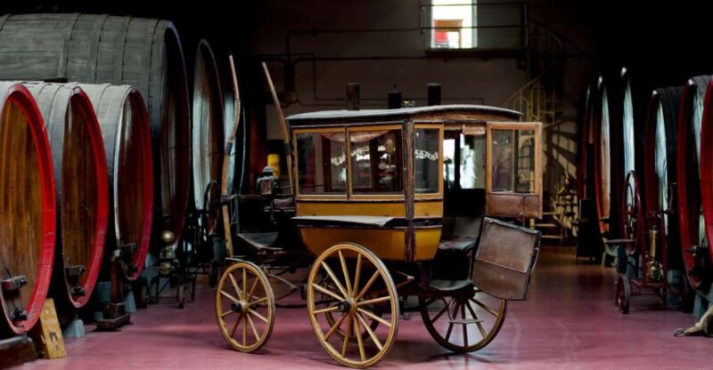 Modena: Lambrusco Wine Tasting and Cellar Tour - Final Thoughts: Why This Tour Is a Great Pick