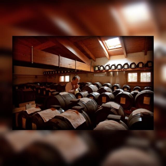 Modena: tour & taste of Bio,Traditional Balsamic Vinegar PDO - Final Thoughts