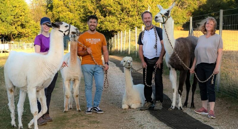 Mödling/Vienna: Scenic Guided Hike with Alpacas and Llamas - Who Should Book This Experience?