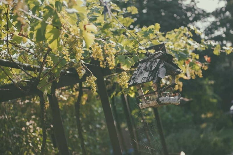 Modra: Private Wine Tasting at a Family-Operated Winery - Key Points