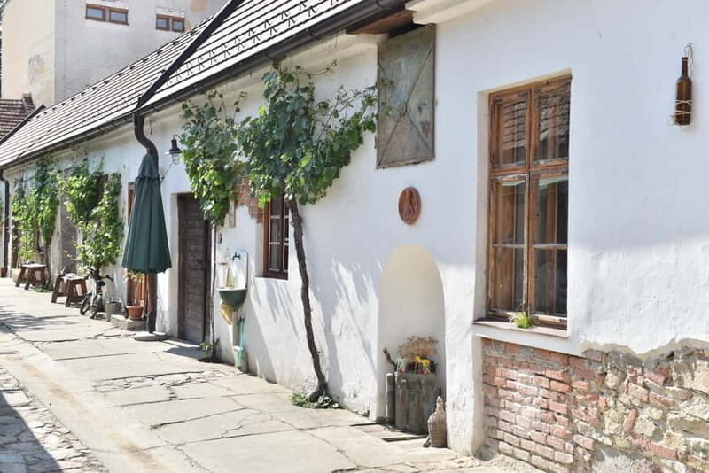 Modra: Private wine tasting guided by winery owner - Final Thoughts