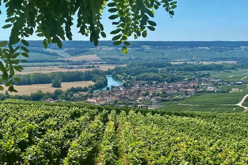 Moet et Chandon Veuve Clicquot Pommery Private Champagne - Key Points