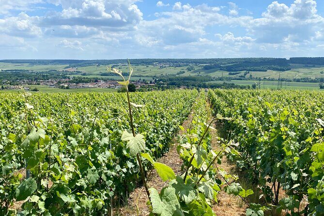 Moet et Chandon Veuve Clicquot Private Champagne trip from Paris - Veuve Clicquot: The Historic Champagne House