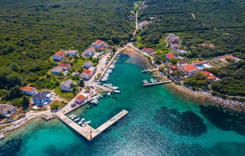 Molat Island Dolphin Watching Boat Tour 6hours TOUR - Authentic Experiences and Reviewer Insights  
