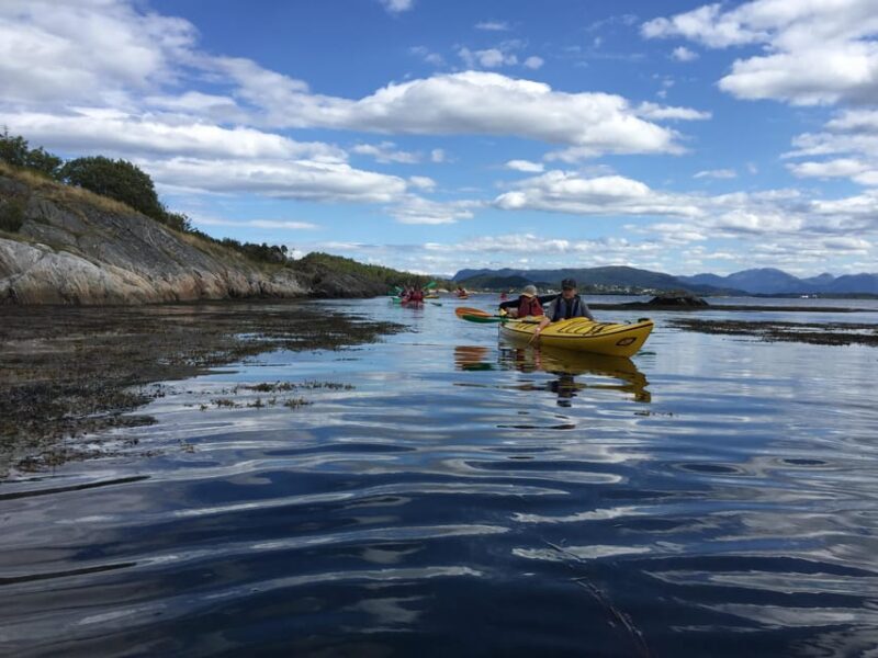 Molde - Guided kayak tour - Final Thoughts