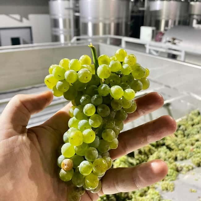 Moldova: Wine Tour to Miletii Mici Cellar with Tasting - FAQs