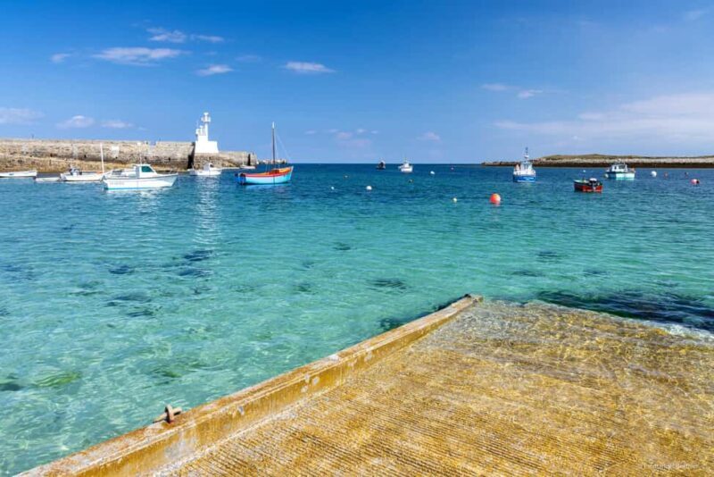 Molène Archipelago: Sea trips from Crozon. Seals, dolphins, - The Value of the Experience