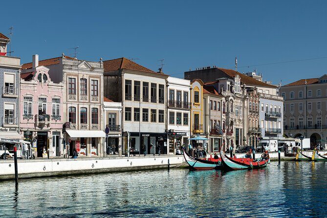 Moliceiro Boat Tour on the Ria de Aveiro - What to Expect from the Moliceiro Boat Tour