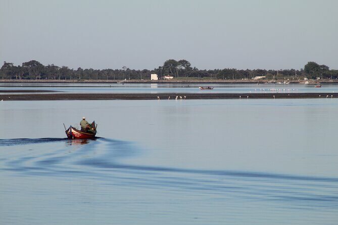 Moliceiro boat trip, with experience in bivalves harvesting - Exploring the Ria de Aveiro on a Moliceiro Boat Trip