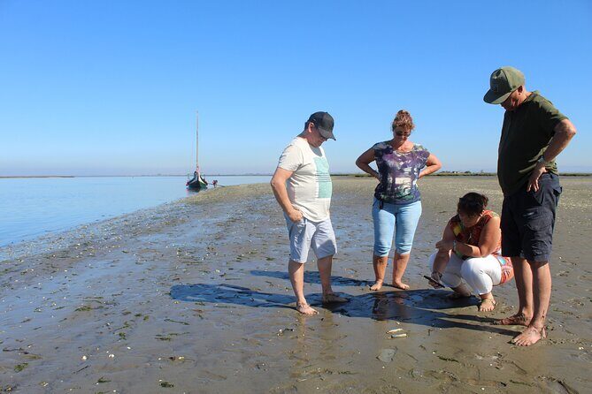 Moliceiro boat trip, with experience in bivalves harvesting - Authentic Experiences as Described by Reviewers