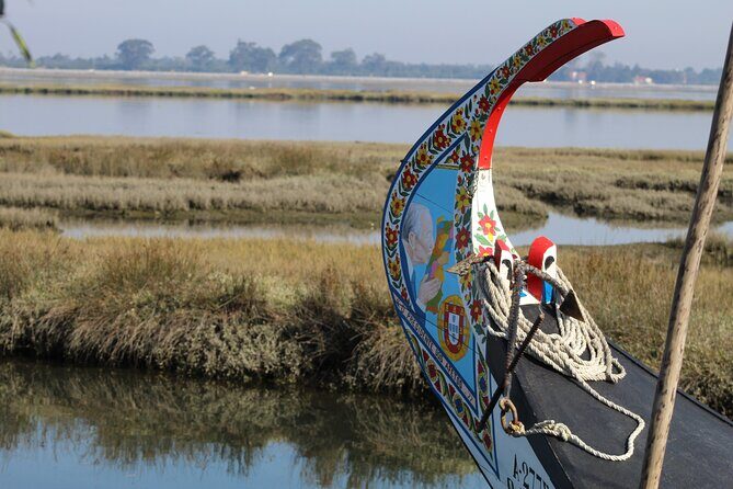 Moliceiro boat trip, with experience in bivalves harvesting - The Sum Up