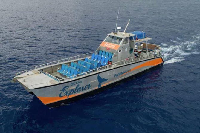 Molokini & Turtle Adventure: Small Group from Ma'alaea Harbor - An In-Depth Look at the Molokini & Turtle Adventure