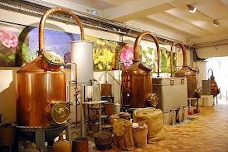 Monaco and Perched Medieval Villages Day Tour from Nice - Discover the Charm of Monaco and Medieval Villages on a Full-Day Tour from Nice