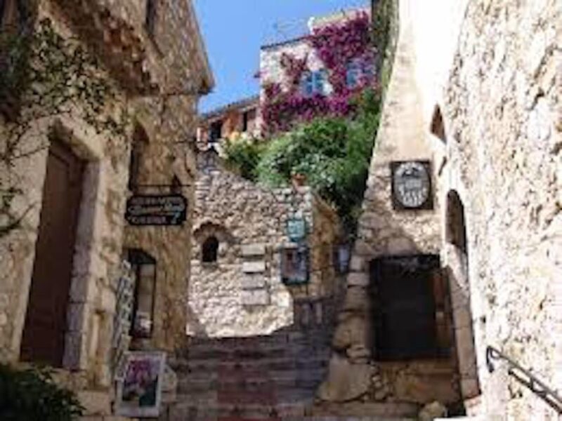 Monaco and Perched Medieval Villages Day Tour from Nice - Who Is This Tour Best For?