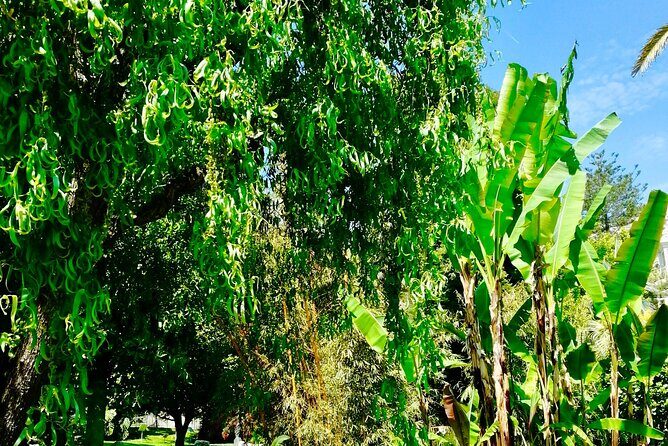 Monaco & Monte-Carlo: Classics & Hidden Gems - Walking & Boat - Who Will Love This Tour?