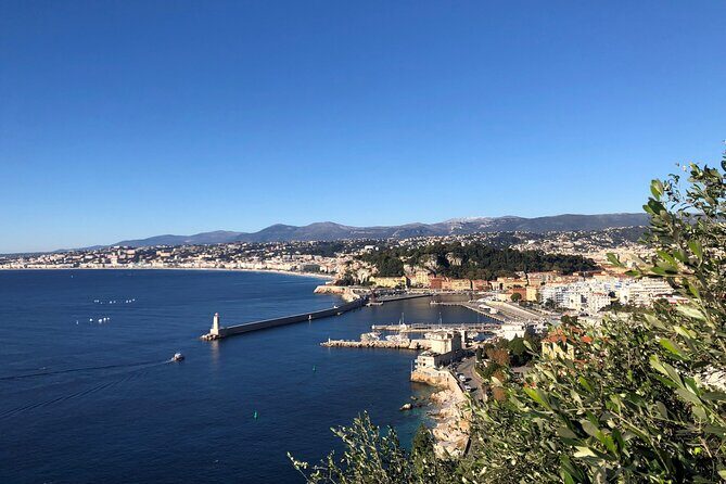 Monaco, Monte Carlo & Eze Morning Tour from Nice - A Deep Dive into the Experience
