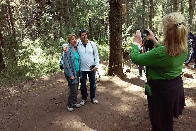 Monarch Butterfly Private Tour (Morelia) - Authentic Experiences and Reviewer Insights