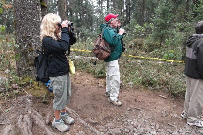 Monarch Butterfly Private Tour (Morelia) - Final Thoughts: Is This Tour Right for You?