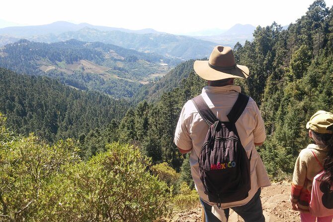 Monarch Butterfly Tour from Mexico City - The Journey to the Monarch Sanctuary