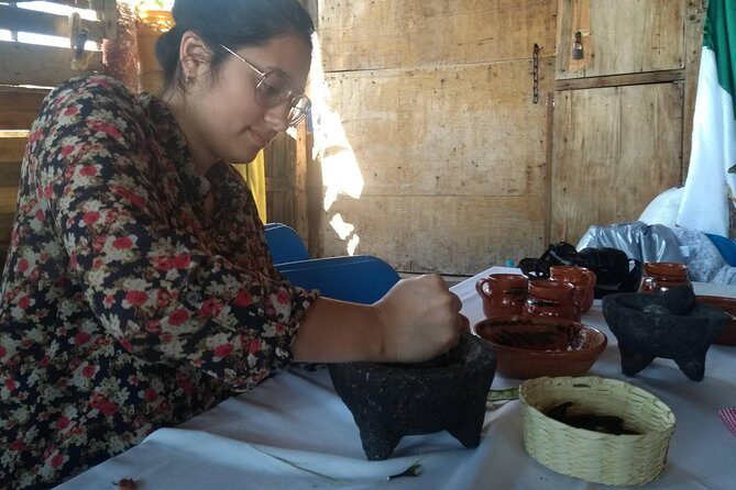 Monarch Butterfly Tour from Mexico City - The Meal and Return Journey