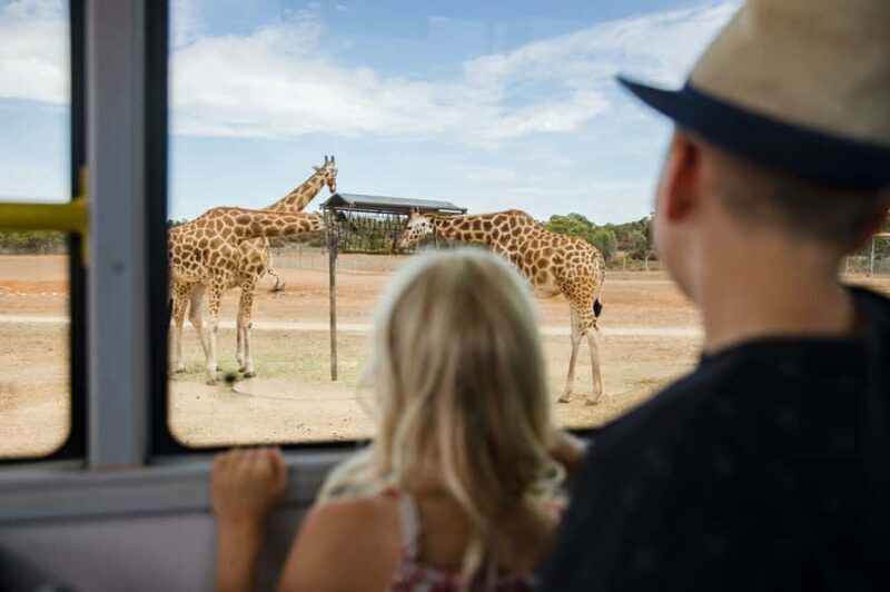 Monarto Safari Park: General Admission Tickets - A Deep Dive into Monarto Safari Park